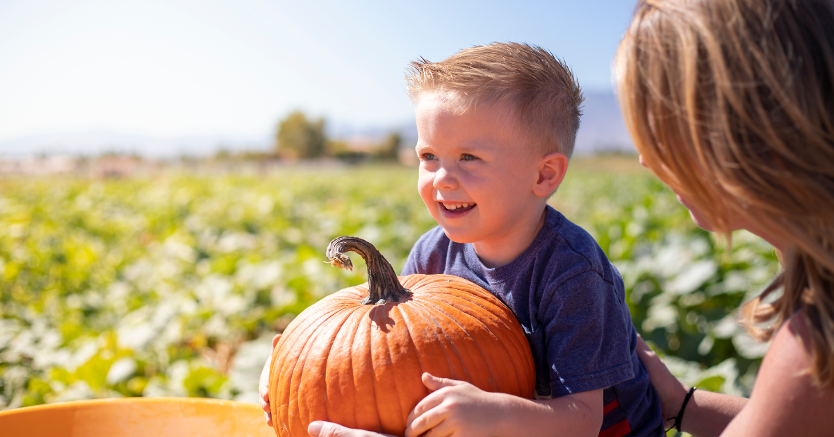 Biggest Pumpkin Patches in California | Fall Activities & Travel ...